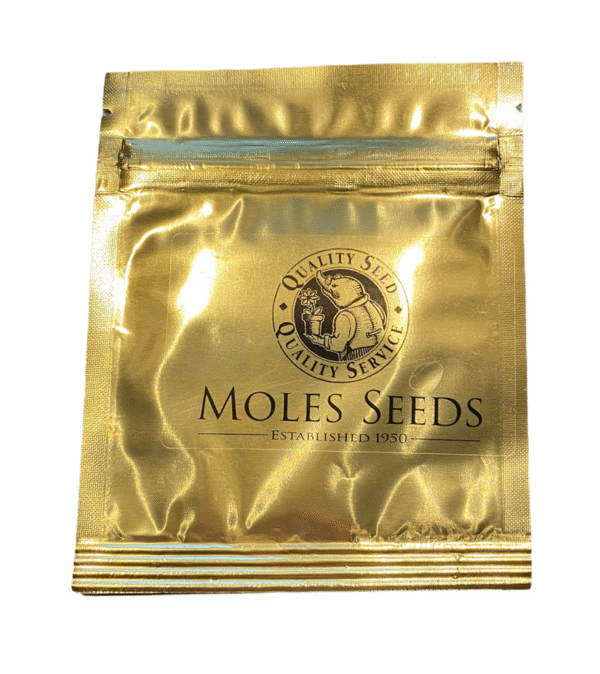 Moles Seeds Cut Flowers at Angie Kimble blog